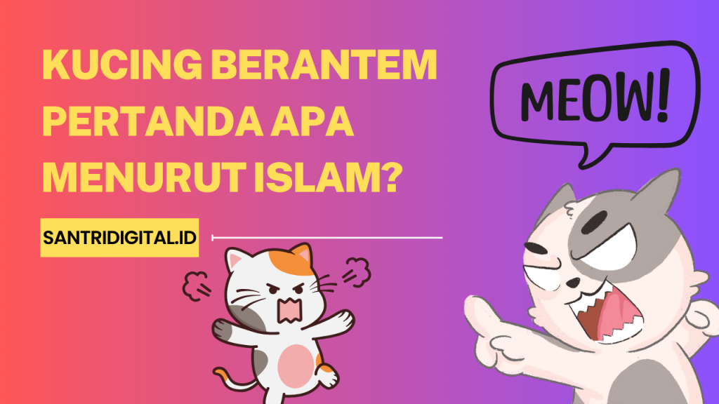 Kucing Berantem Pertanda Apa Menurut Islam? - Santri Digital