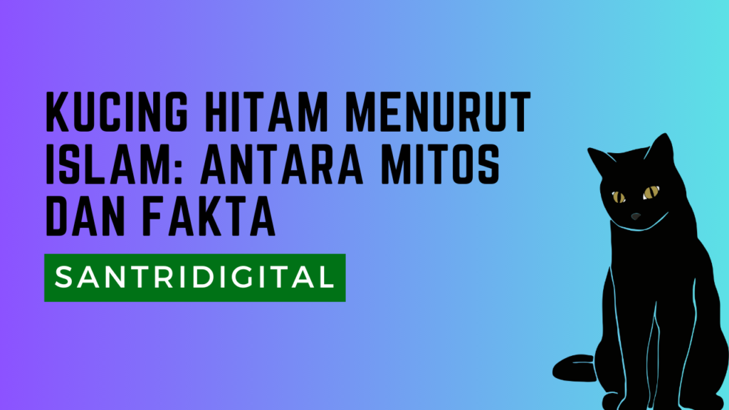 Kucing Hitam Menurut Islam: Antara Mitos dan Fakta - Santri Digital