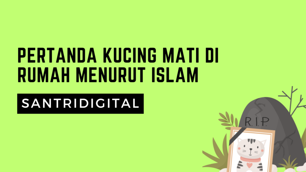 Pertanda Kucing Mati di Rumah Menurut Islam - Santri Digital